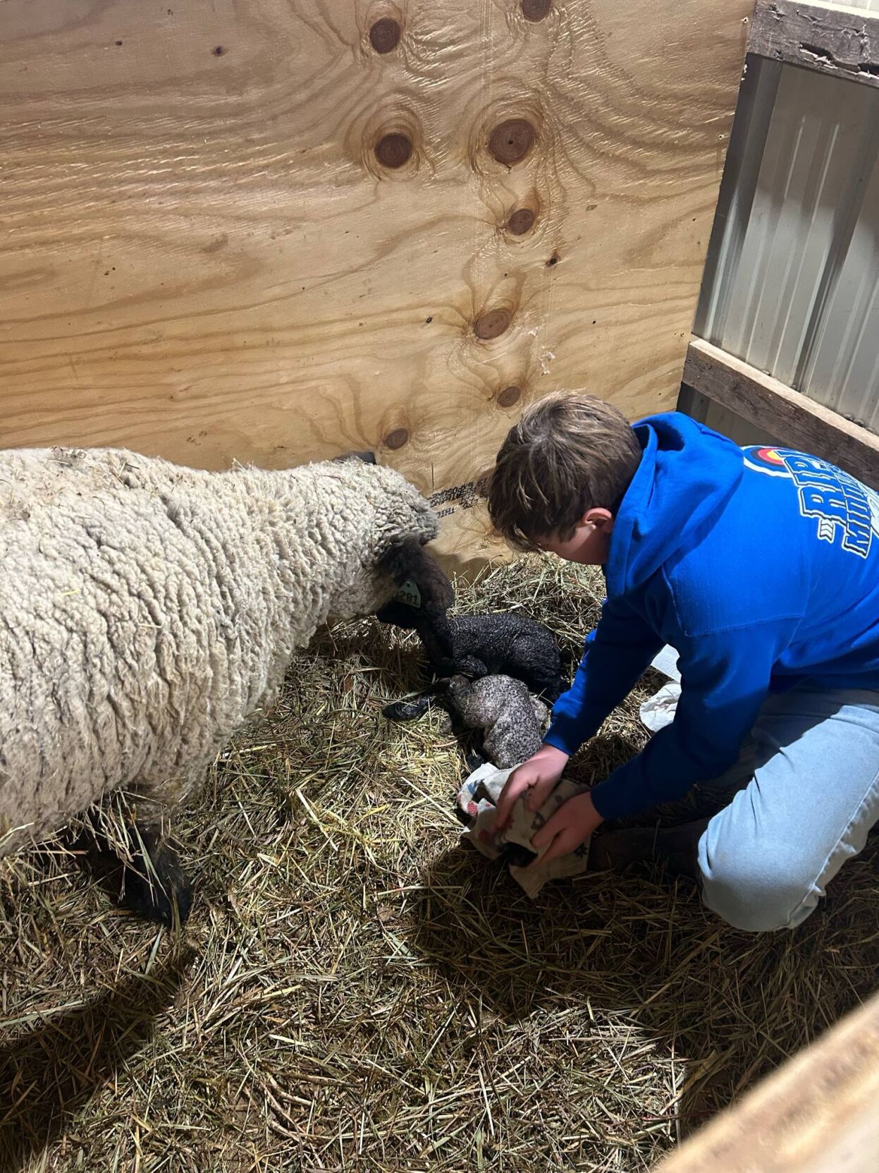 Ripley Area Agritourism Trail kicks off May 2 | Jackson Star and Herald ...