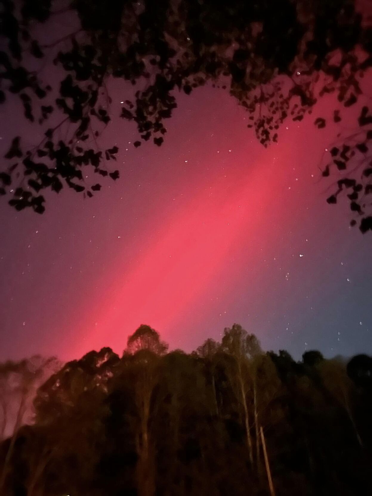 Northern Lights provide some beautiful skies across North Central West ...