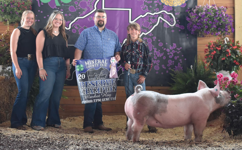Photo Gallery: Mineral County Fair Hog Show | Mineral County WV News ...