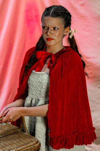 Photo Gallery: Apple Alley takes audiences 'Into the Woods' | Mineral ...