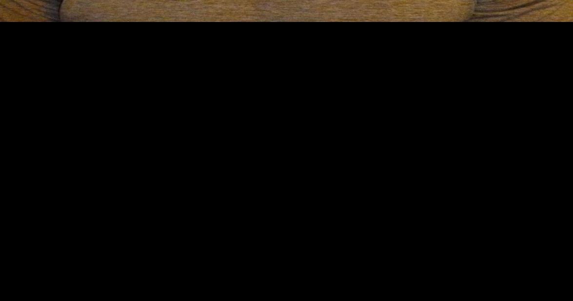 Steven F. Moser promoted first master sergeant in West Virginia Army ...