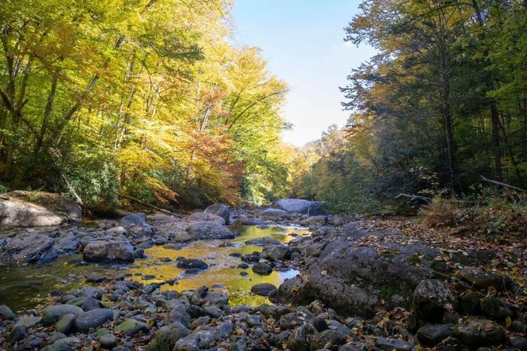 West Virginia Tourism: State's fall colors best in several years | WV ...