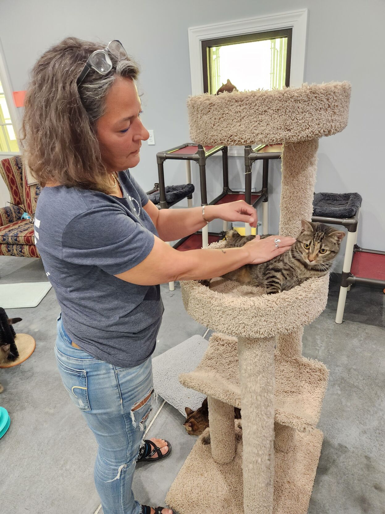 Marion Co., West Virginia, Humane Society bond fails, volunteer fire ...