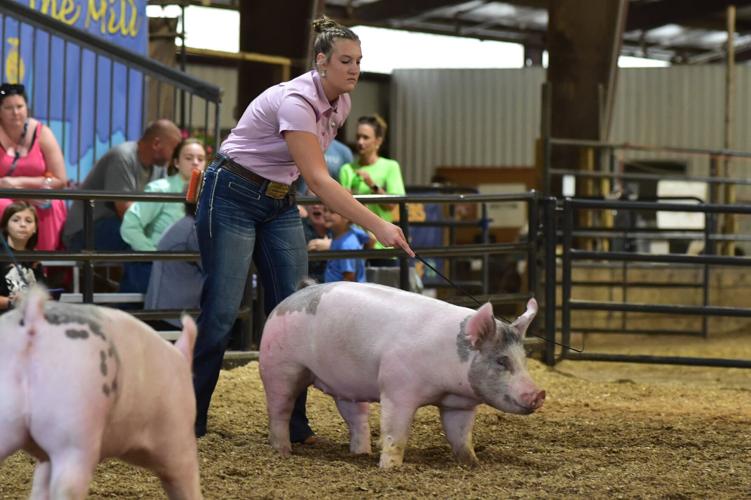4-H youth showcase skills at WVU Extension's Jamboree at the Mill at ...