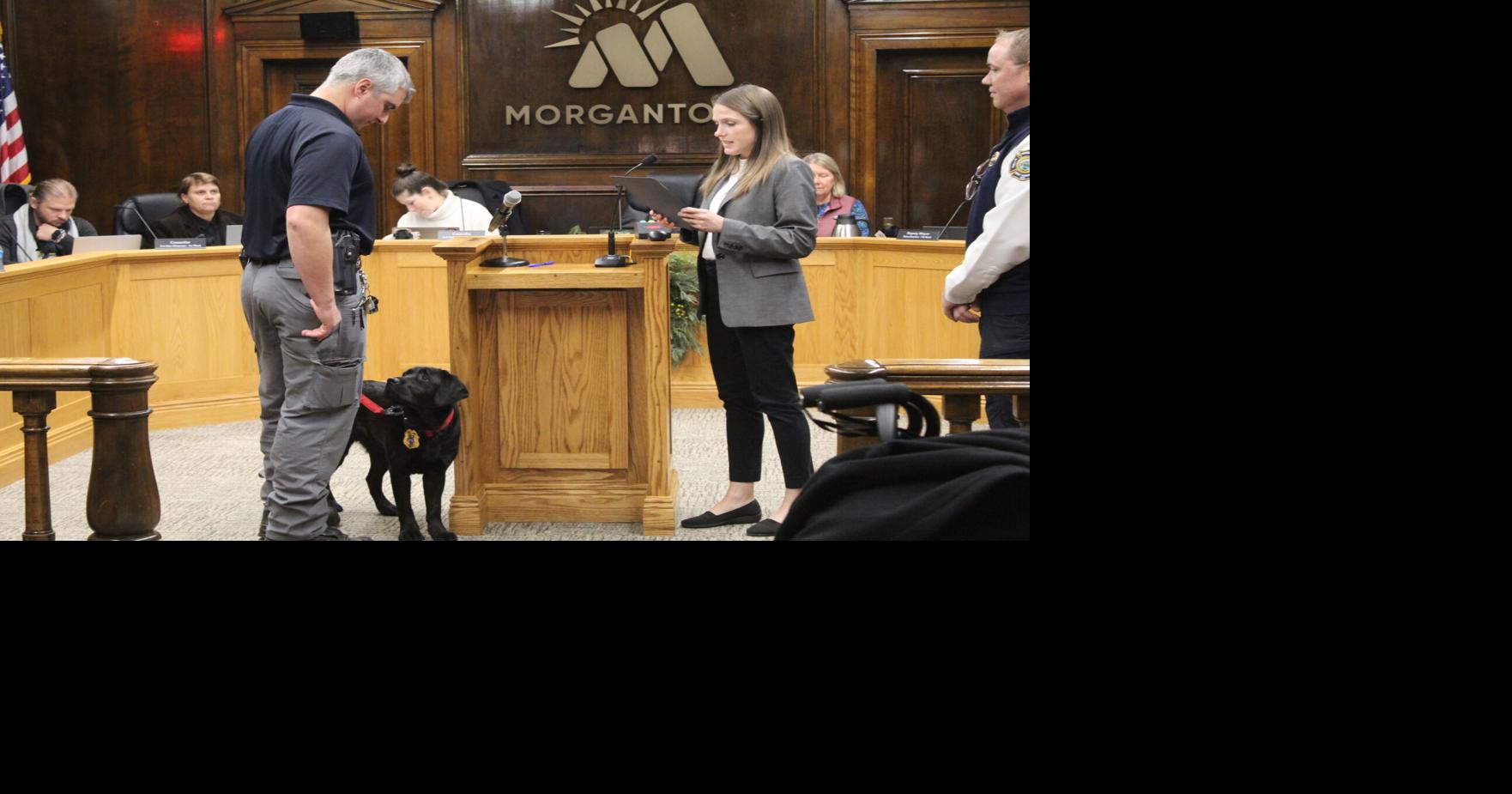 Morgantown Council welcomes new arson detection dog, honors student ...