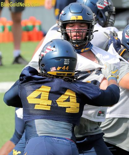 Transfer portal gains and losses | | wvnews.com