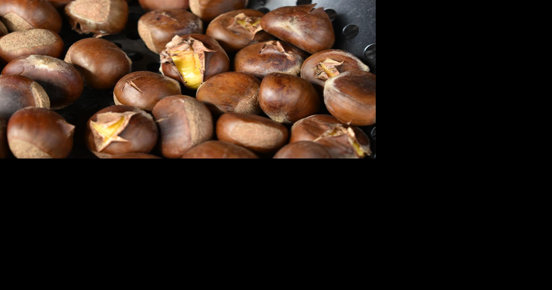 Rowlesburg Chestnut Festival set for Sunday | Preston County Lifestyles ...