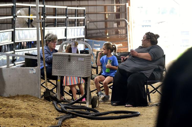 4-H youth showcase skills at WVU Extension's Jamboree at the Mill at ...