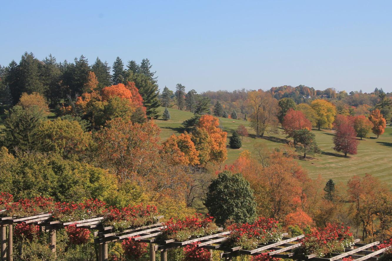 Celebrate Fall in West Virginia: A Seasonal Guide to Autumn Adventures ...