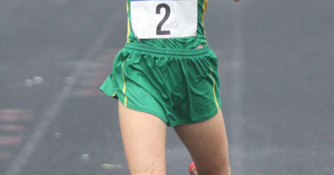 Buckhannon-Upshur girls, both Doddridge County teams qualify for state ...