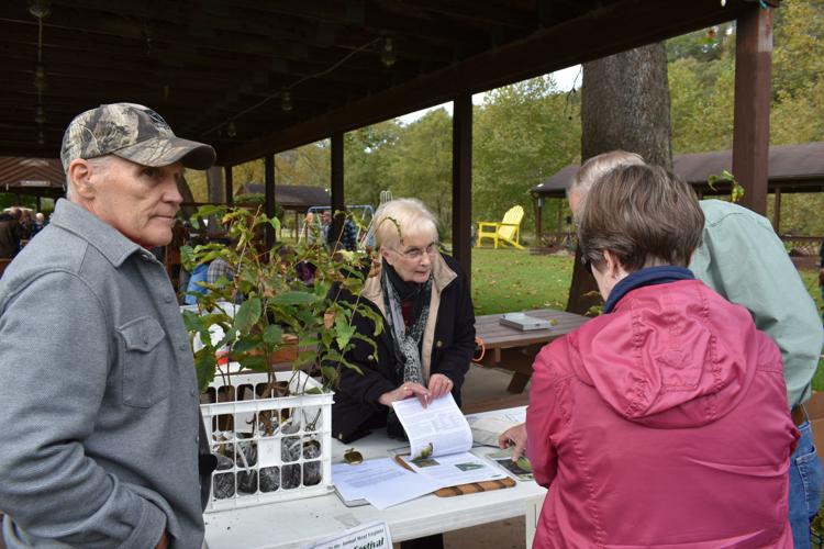 Preston Pride — Rowlesburg celebrates chestnut's legacy, future ...