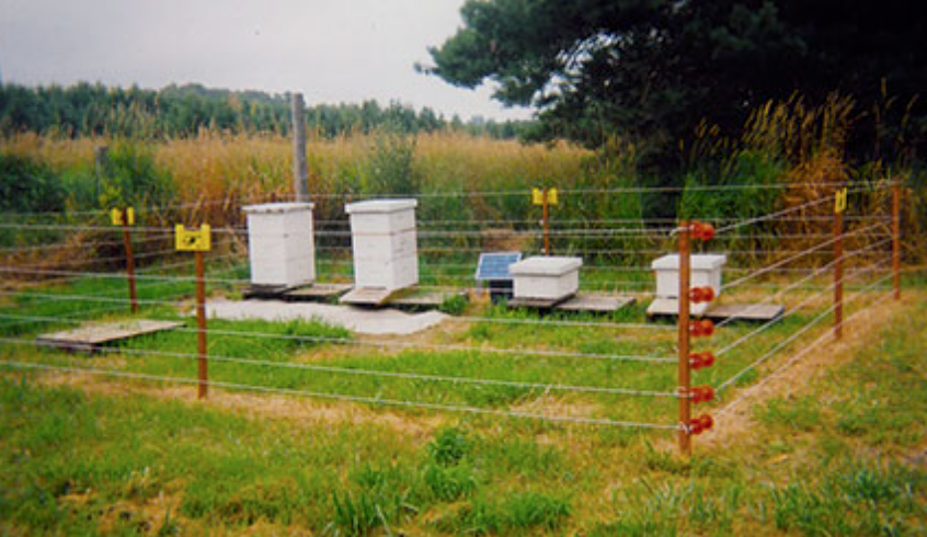 Agriculture topics: Things to consider about electric fences | Weston ...