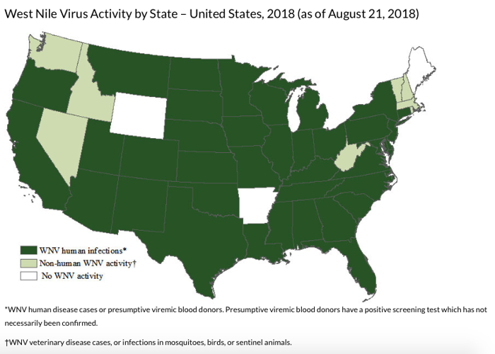West Nile virus found in mosquitoes near Doddridge County schools ...