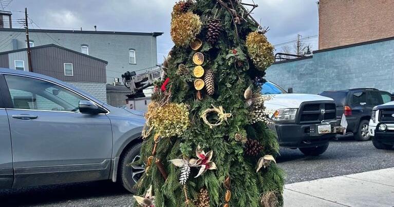 Parks & Rec announces winners of meter, tree contests | Mineral County ...