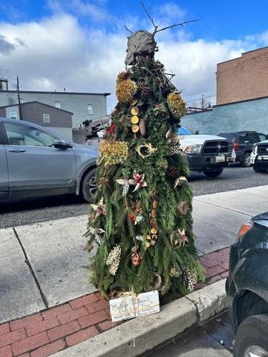 Parks & Rec announces winners of meter, tree contests | Mineral County ...