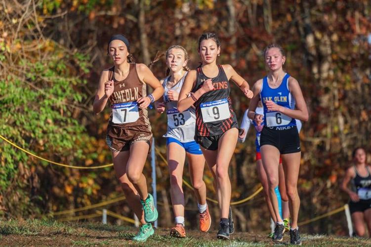 Grafton cross country boys claim third-place team finish; Addison Sole ...