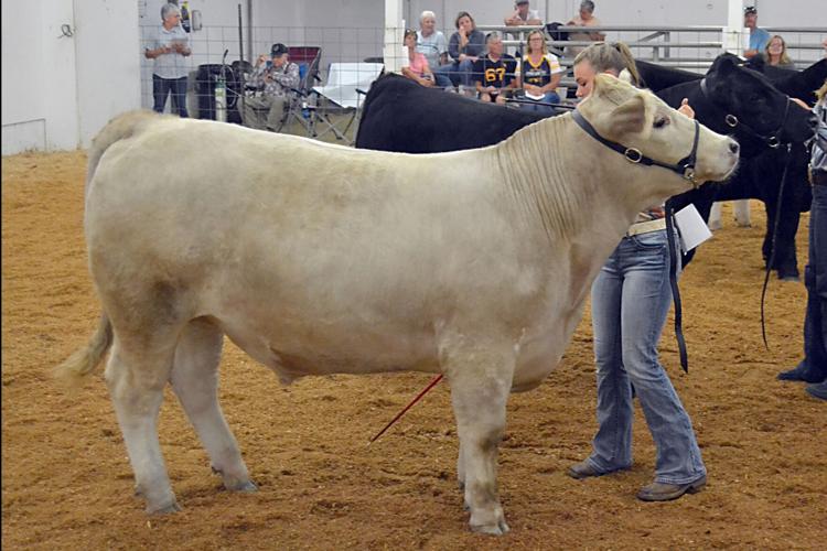 Barbour County Fair (West Virginia) continues to have agriculture a ...