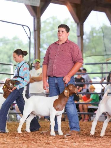 Racine Southern FFA reflects on successful showing at the Meigs County ...