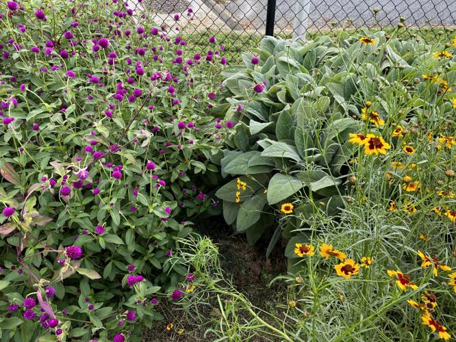 Small urban farms can be an oasis for underserved neighborhoods ...