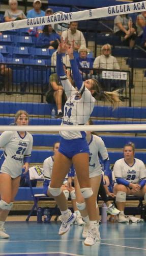 Blue Angels suffer first loss of season | Gallipolis Sports | wvnews.com