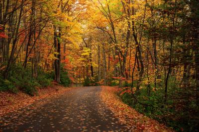 Foliage report: West Virginia now covered with jaw-dropping fall colors ...
