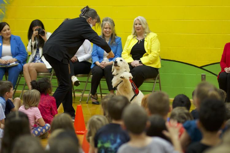 Friends with Paws therapy dog Eli welcomed to Nutter Fort Elementary ...