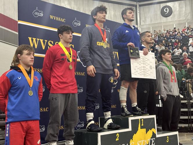 Fairmont Senior places 2nd at state wrestling tournament | | wvnews.com