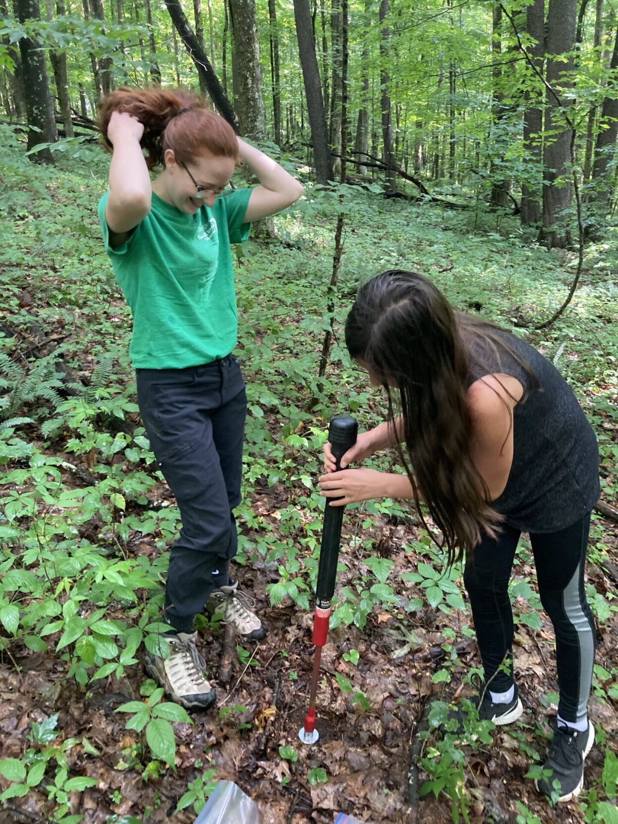 Middle school students join West Virginia University researchers to ...