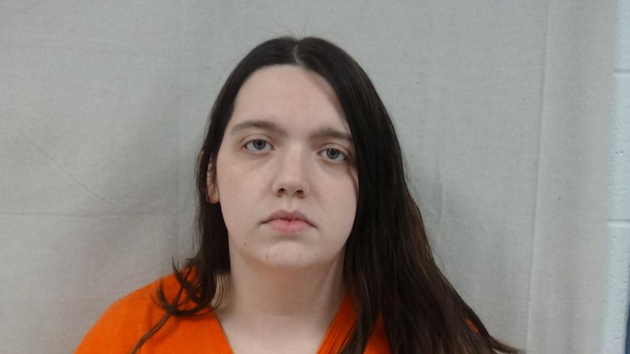 Buckhannon, West Virginia, woman pleads guilty to 2 counts of child ...