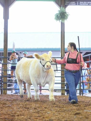 Racine Southern FFA reflects on successful showing at the Meigs County ...