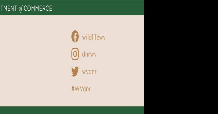 West Virginia DNR stocks 99 waters during week of March 6 | WV News ...