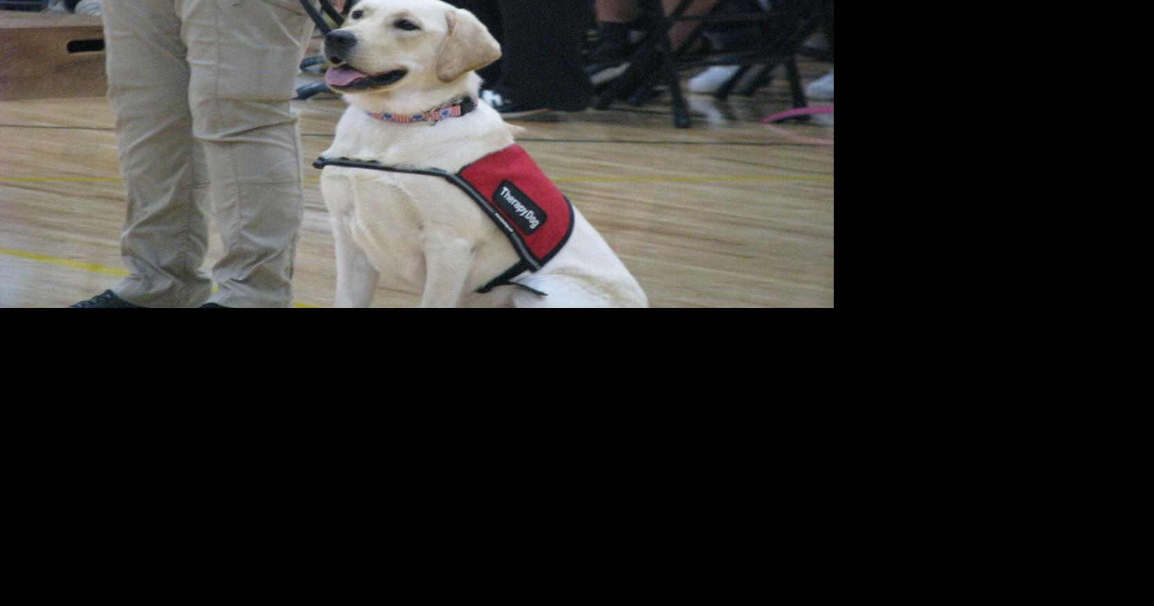 KMS, First lady hold pup rally to welcome new therapy dog | Mineral ...