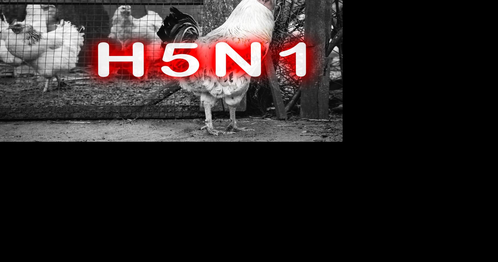 West Virginia Department of Health reports case of Avian Influenza in ...