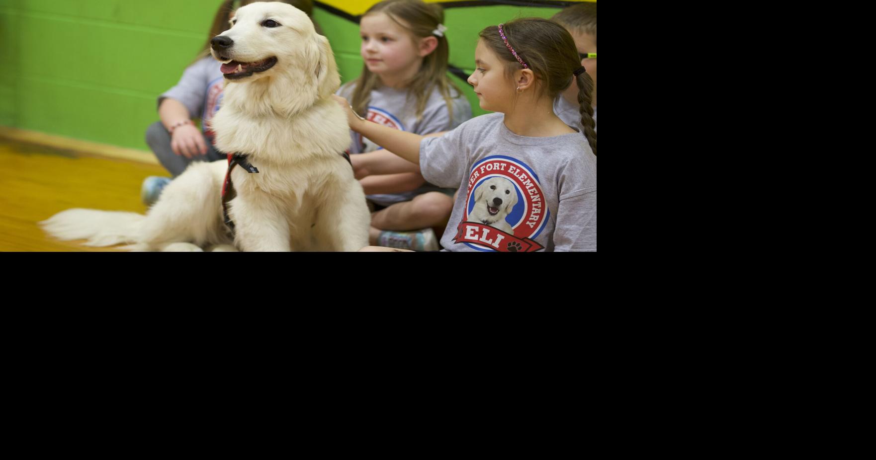 Friends with Paws therapy dog Eli welcomed to Nutter Fort Elementary ...