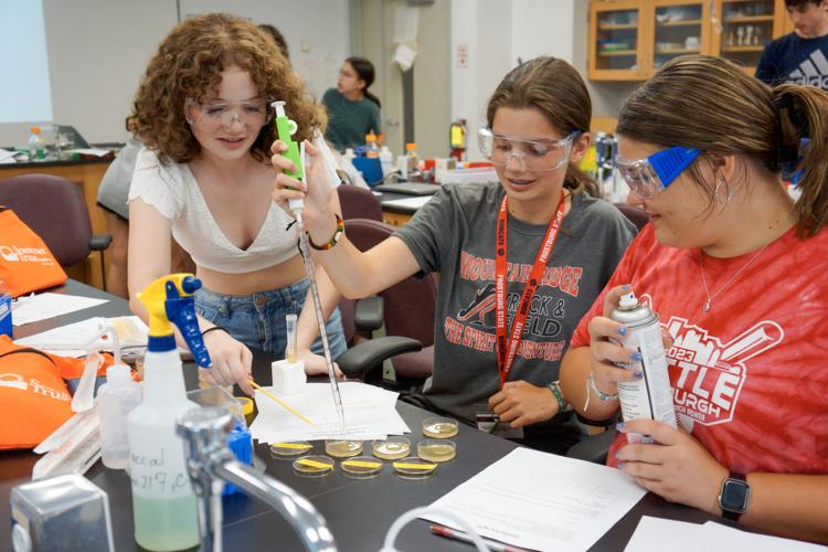 Students dive into STEM activities at FSU | | wvnews.com