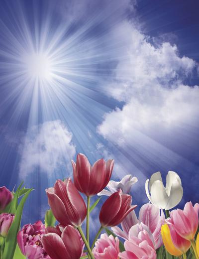 Irvin Samuel "Sam" Rowe, Jr. | WV Obituaries | wvnews.com