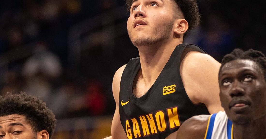 WVU adds another player to men's basketball roster | West Virginia ...