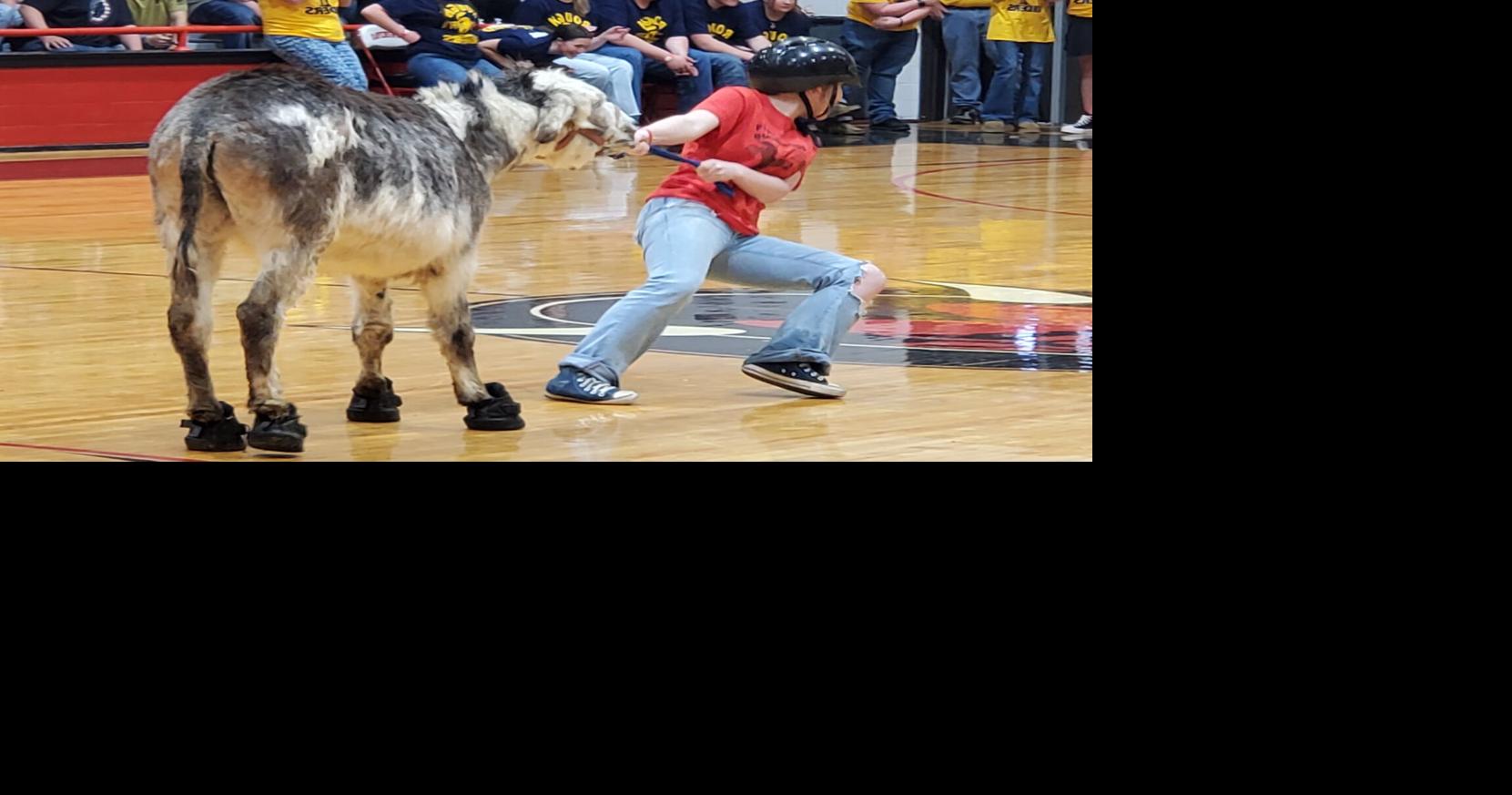 Donkey Basketball returns to the Pit | Jackson Star and Herald - Ripley ...
