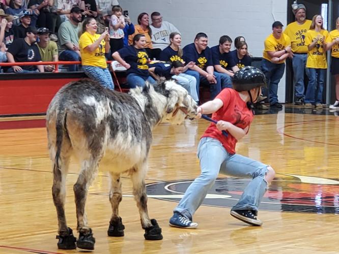 Donkey Basketball returns to the Pit | Jackson Star and Herald - Ripley ...