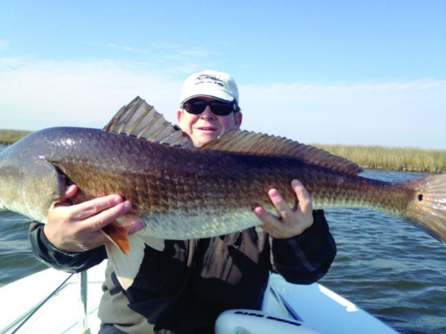 Tugs & Bugs | Harrison Lifestyles | wvnews.com