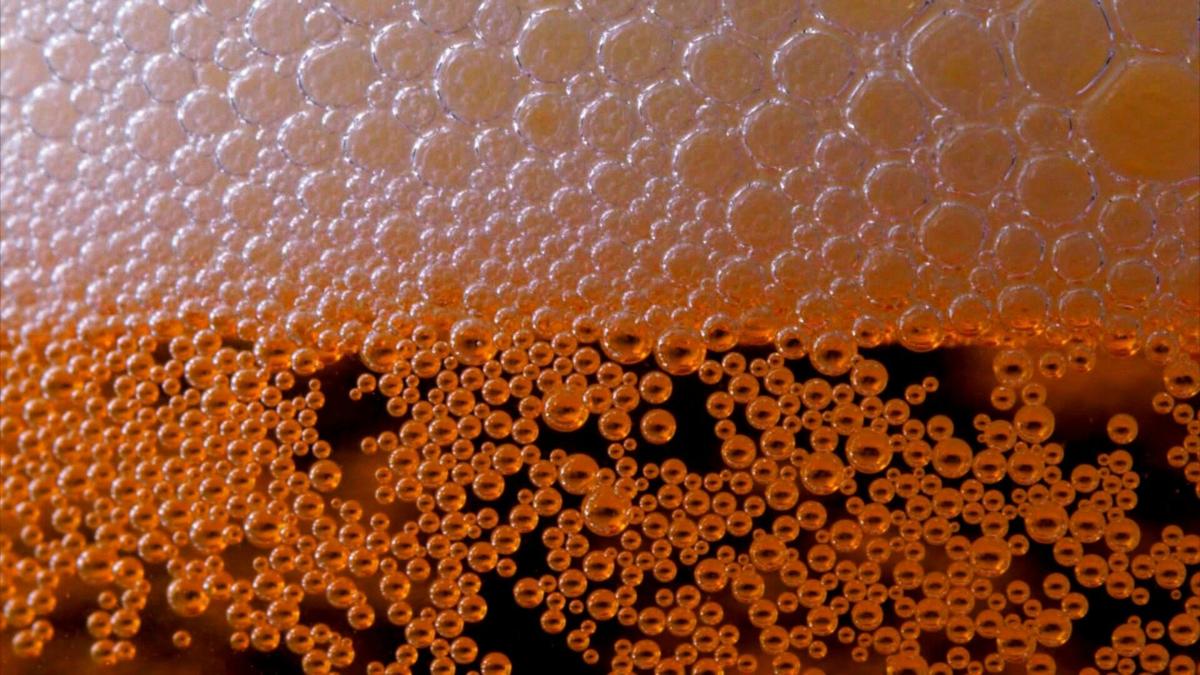 West Virginia DoHS reminds SNAP recipients about new soda ban | WV News ...