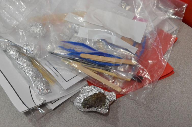 Students at Johnson Elementary dissect owl pellets to learn about ...