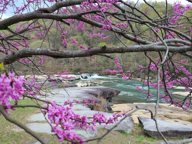 Valley Falls State Park offers patrons with scenic views, engaging ...