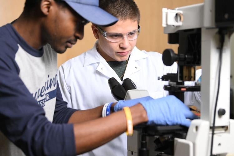 West Virginia University student finds path through undergraduate ...