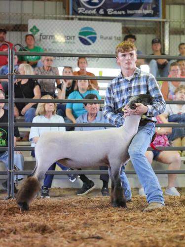 Racine Southern FFA reflects on successful showing at the Meigs County ...