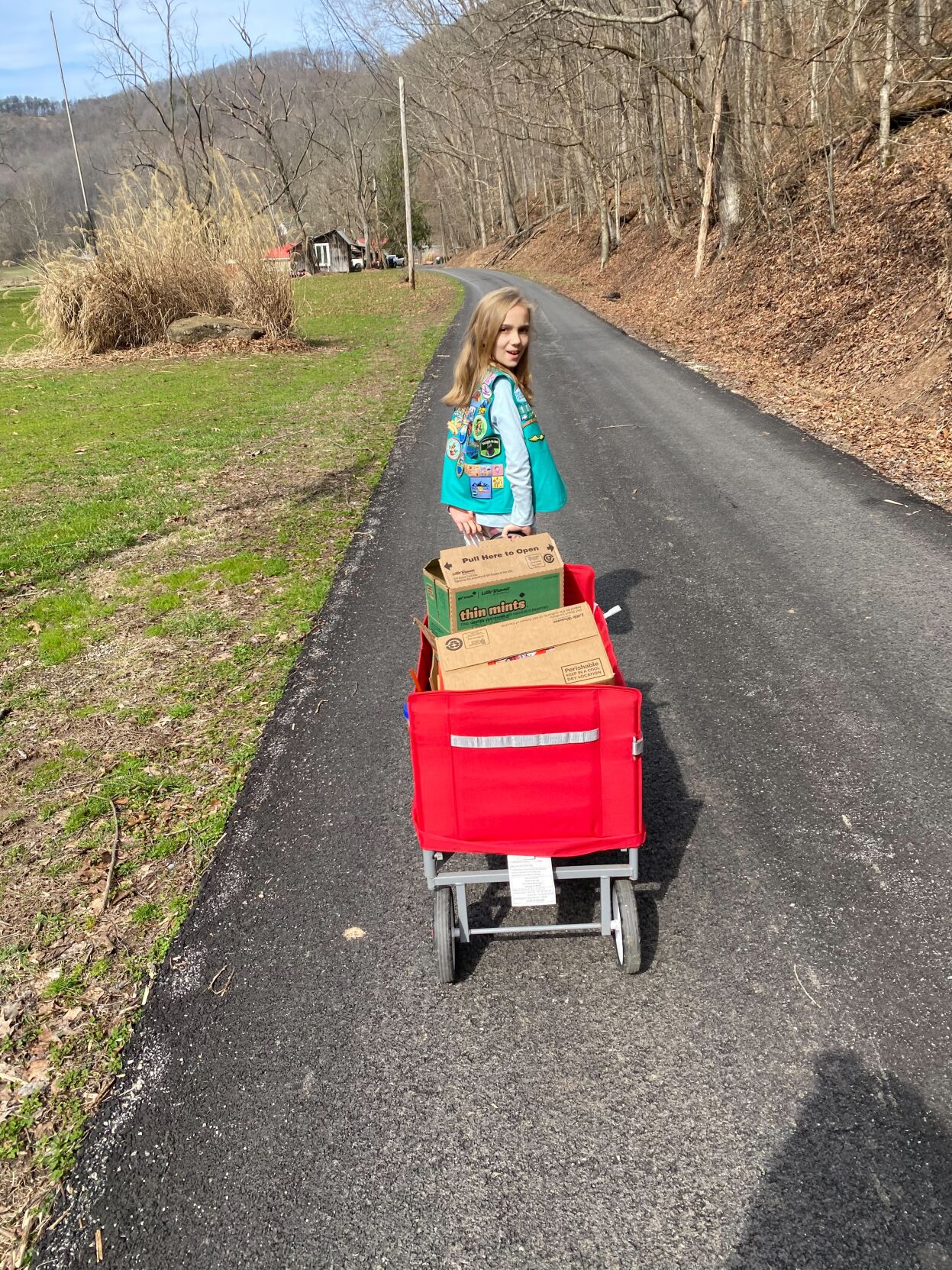 Booth sales continuing cookie sales for Lewis County (West Virginia) Girl Scouts | Weston News ...