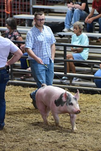 4-H youth showcase skills at WVU Extension's Jamboree at the Mill at ...