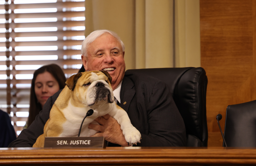 Babydog Justice turns 6: West Virginia Sen. Jim Justice’s beloved ...