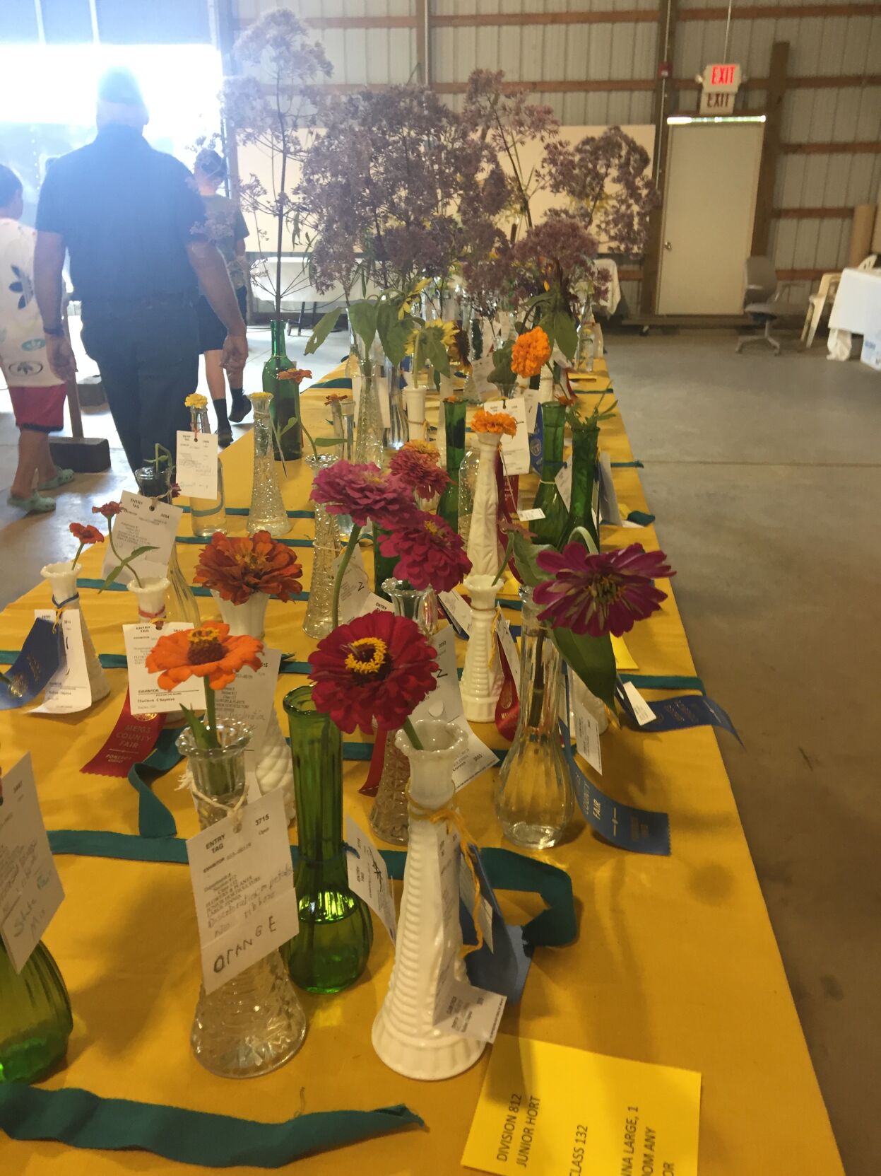 Junior talents bloom | Gallipolis, Pomeroy, Point Pleasant and Mason ...