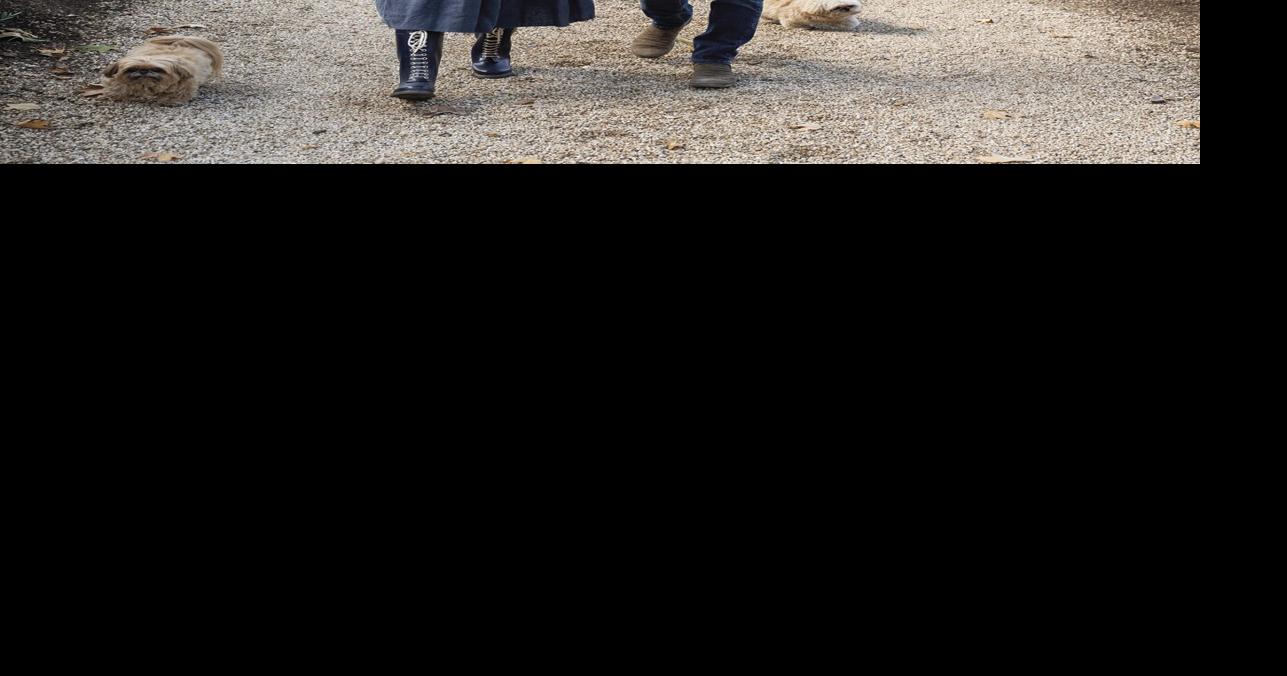 steve giannetti architect